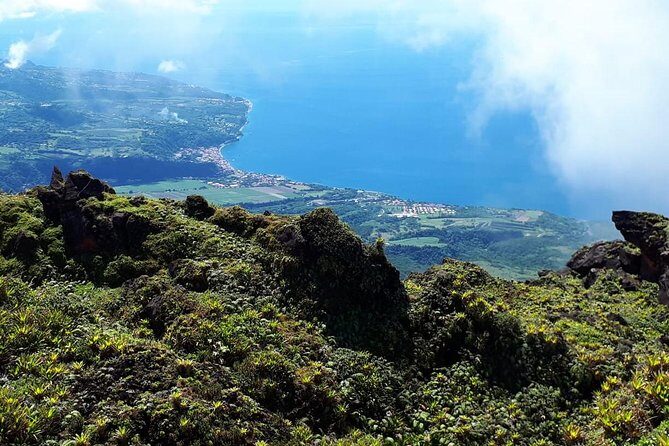 North Tour: rainforest, rum distillery, black sand beach etc - Introduction: Why This Tour Could Be Your Perfect Day in Martinique