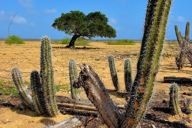 North Tour with Local Guide - Practical Details & What’s Included