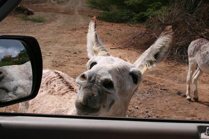 North Tour with Local Guide - The Sum Up: Who Will Love This Tour?