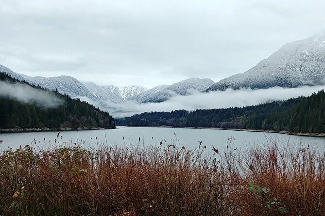 North Vancouver Discovery Private Tour - A Deep Dive into the North Vancouver Discovery Private Tour