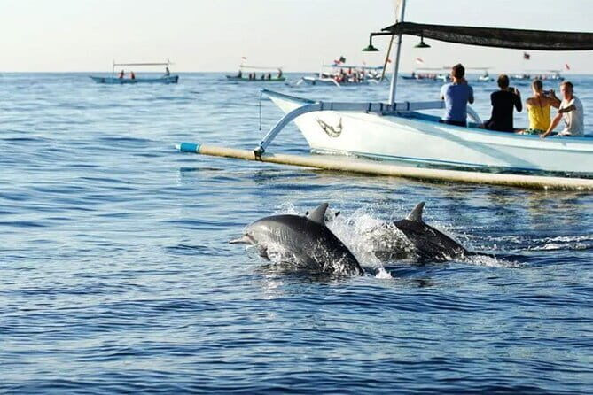 Northern Bali: Dolphin Watching and Snorkeling Experience - Key Points