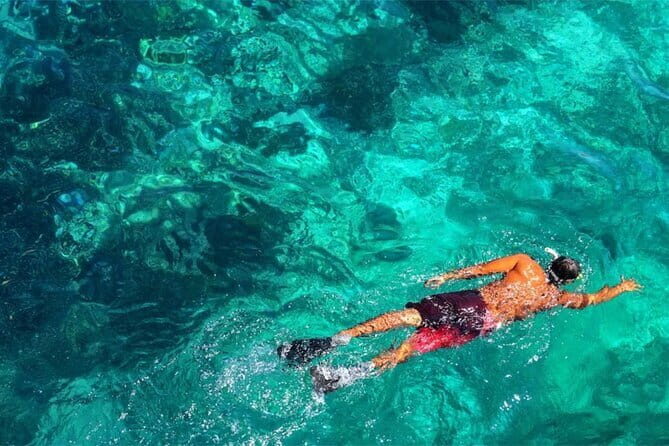 Northern Bali: Dolphin Watching and Snorkeling Experience - An In-Depth Look at the Tour