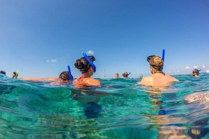 Northern Bali: Dolphin Watching and Snorkeling Experience - Authentic Experiences & Traveler Insights