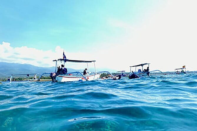 Northern Bali: Dolphin Watching and Snorkeling Experience - FAQs