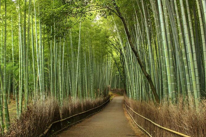 Northern Cebu Adventure Tour - FAQs