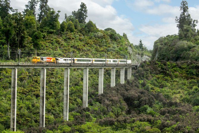 Northern Explorer Train Journey from Auckland to Wellington - The Itinerary: A Long Day of Scenic Wonder