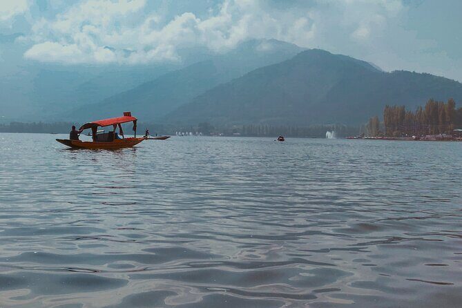 Northern Indian Tapestry On Private Jet - An In-Depth Look at the Tour