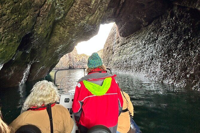 Northern Islands RIB Tour - Authentic Experiences and Authentic Guides