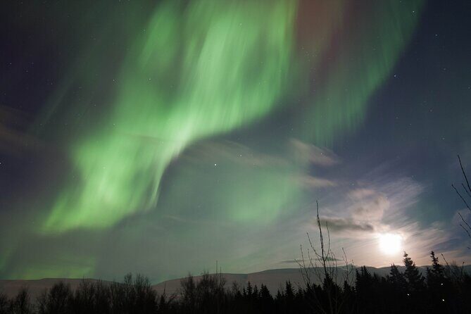 Northern Lights 4x4 Tour from Akureyri - Final Thoughts