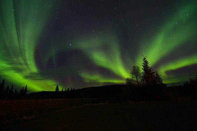 Northern Lights and Chena Hot Springs Night Tour from Fairbanks - The Hot Springs and Ice Museum: Relaxing and Quirky Stops