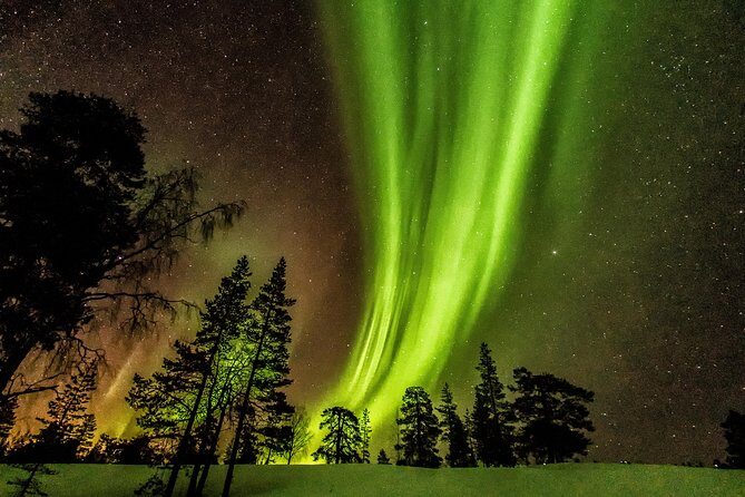 Northern Lights Aurora Tour from Kemi - Why This Tour Works