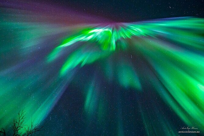 Northern Lights Chase minibus, portraits, toilet, meal, guarantee - What Makes This Tour Stand Out