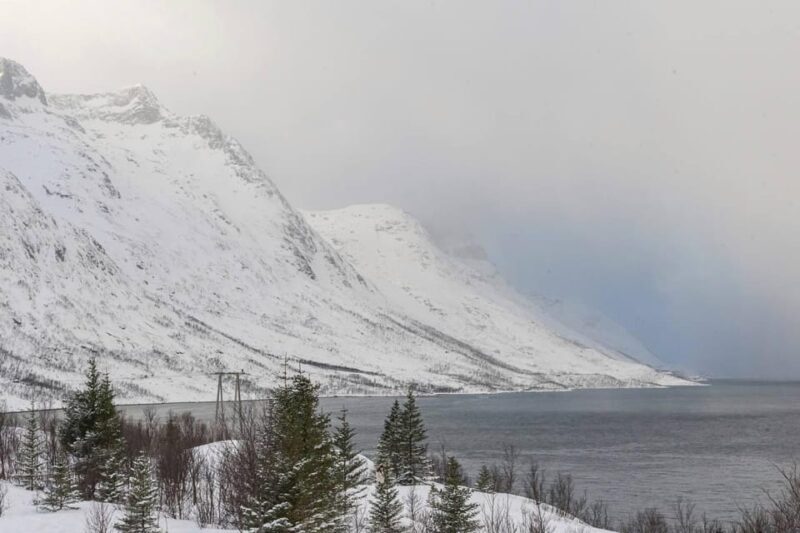 Northern Lights Chase Small Group 8 pax - Final Thoughts: Is It Worth It?