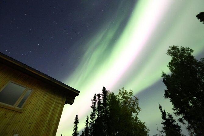 Northern Lights Experience and Cabin Dinner - Pros and Cons Based on Real Experiences