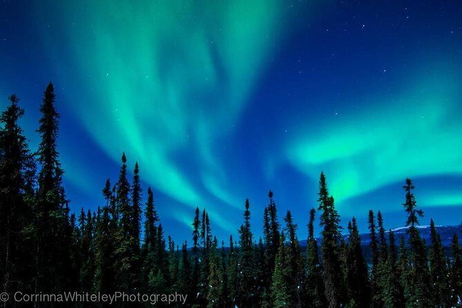 Northern Lights Experience and Cabin Dinner - Practical Details
