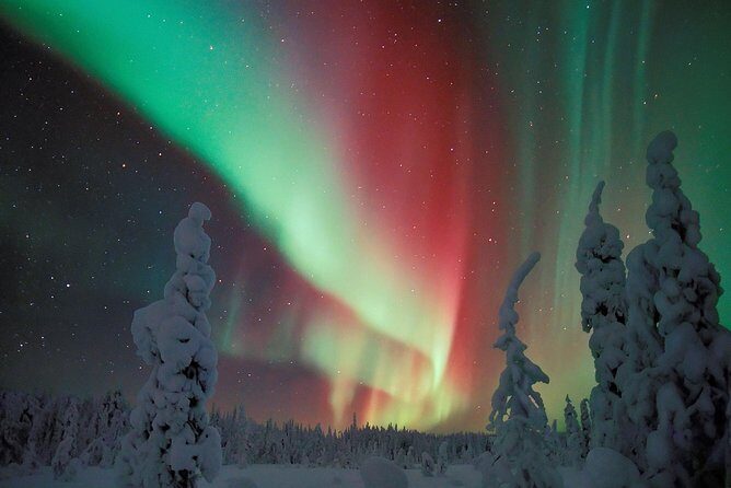 Northern Lights Hunt Including Snacks on Campfire from Levi - Setting the Scene: An Overview of the Tour