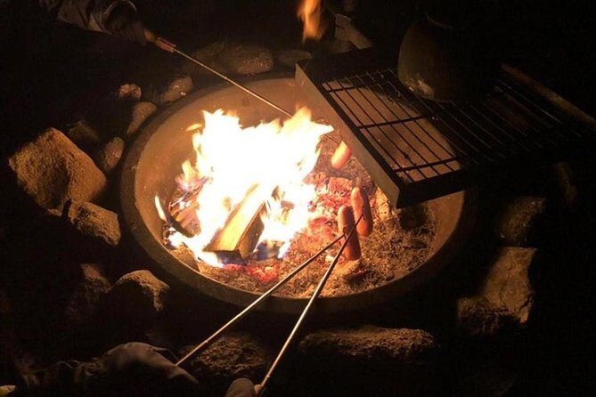 Northern Lights Hunt Including Snacks on Campfire from Levi - Weather and Visibility Considerations