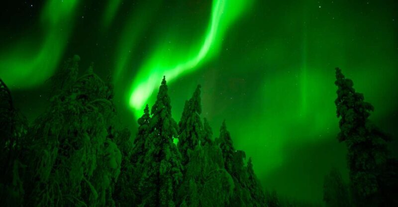 Northern Lights Hunting Adventure in Lapland - The Value for Money