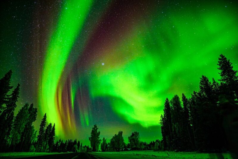 Northern Lights Hunting Adventure in Lapland - Who Is This Tour Best For?