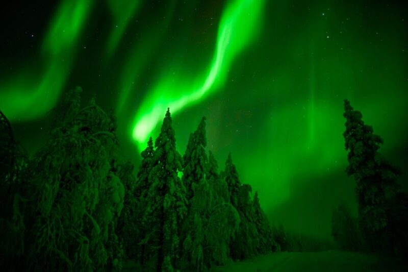 Northern Lights Hunting Adventure in Lapland - The Sum Up