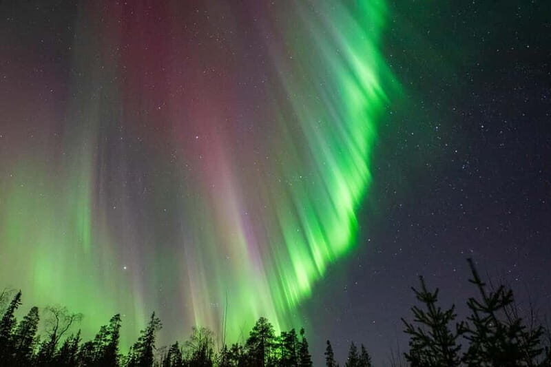 Northern Lights Hunting and Photography Tour - Small Group - What You Can Expect from the Tour