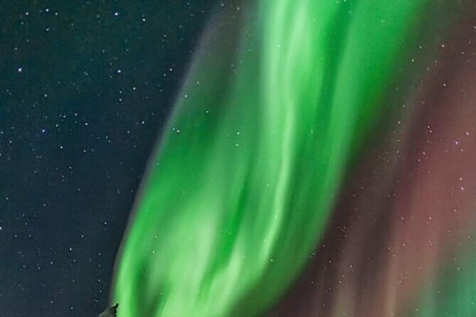 Northern Lights Hunting Tour Rovaniemi - What to Expect from the Northern Lights Hunting Tour