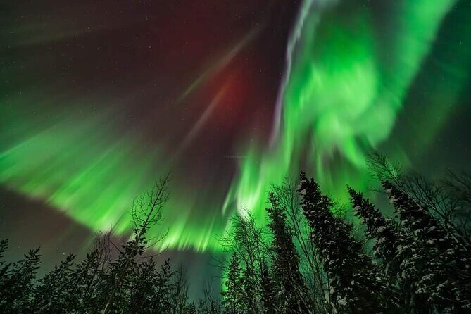 Northern Lights Hunting Tour Rovaniemi - Detailed Breakdown of the Itinerary