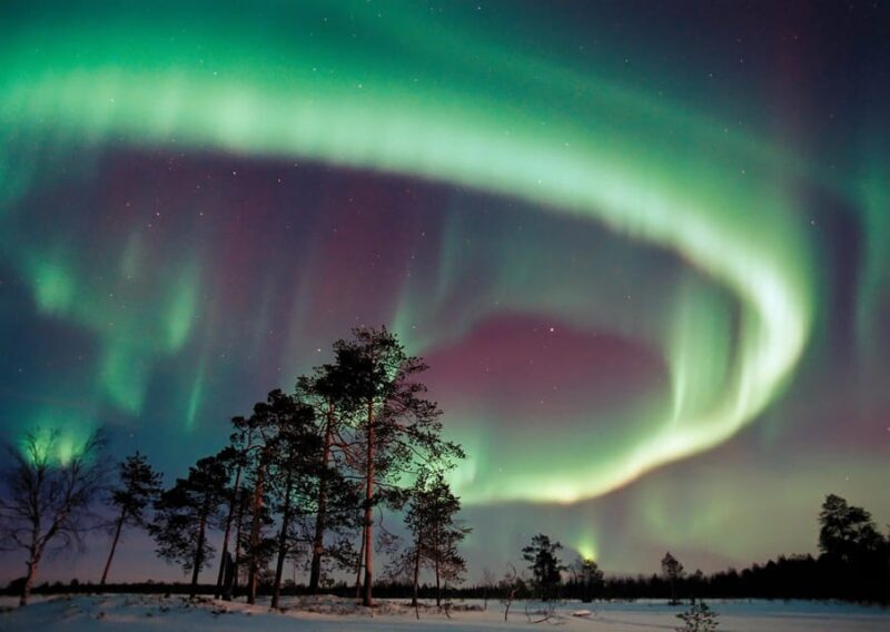 Northern Lights Hunting with Aurora Workshop - Setting the Stage: What the Tour Offers