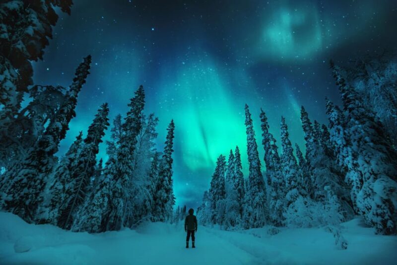 Northern Lights Hunting with Aurora Workshop - Price and Value: Is It Worth It?