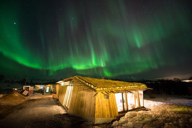 Northern Lights Husky Visit - Final Thoughts: Who Should Consider This Tour?