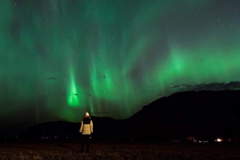 Northern Lights in Mini Bus, Photos, Hot Cocoa and Pastries - Key Points