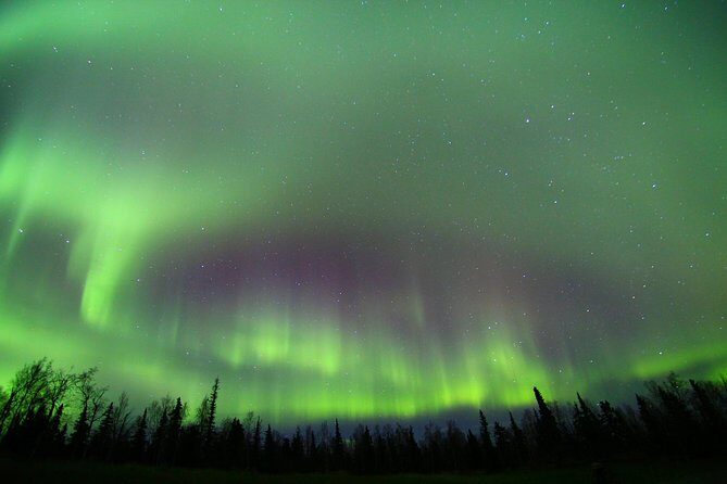 Northern Lights Lodge Viewing in Fairbanks - Key Points