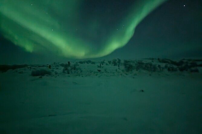 Northern Lights Minibus Chase Max 16 Person In Group - What the Tour Offers and What to Expect