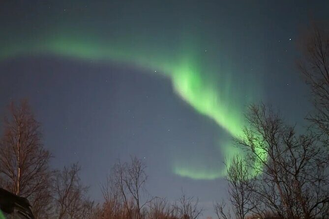 Northern Lights Minibus Chase Max 16 Person In Group - The Sum Up: Who Will Love This Tour?
