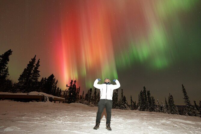 Northern Lights Photography Tour in Fairbanks - Key Points