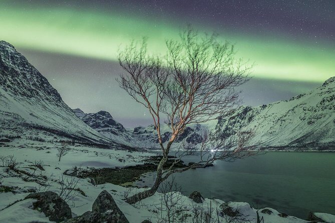 Northern Lights Private tour with your special ones - Greenlander - Final Thoughts