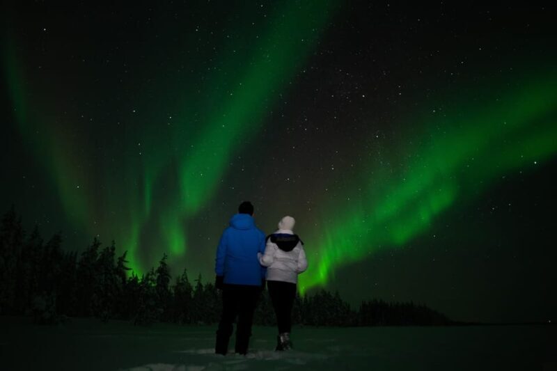 Northern Lights Reindeer Sledge Ride - Northern Lights Reindeer Sledge Ride: A Practical Guide to Laplands Enchanting Arctic Experience