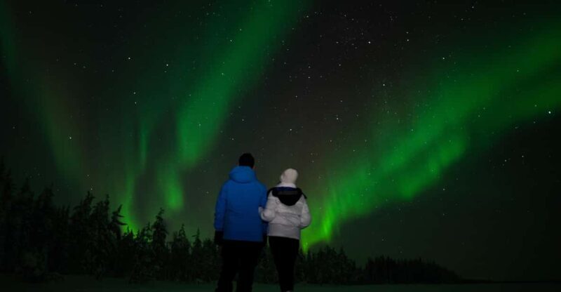 Northern Lights Reindeer Sledge Ride - Key Points