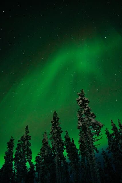 Northern Lights Reindeer Sledge Ride - FAQ: Practical Questions About the Tour