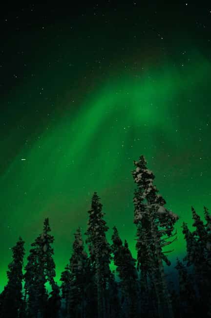 Northern Lights Reindeer Sledge Ride - Key Points