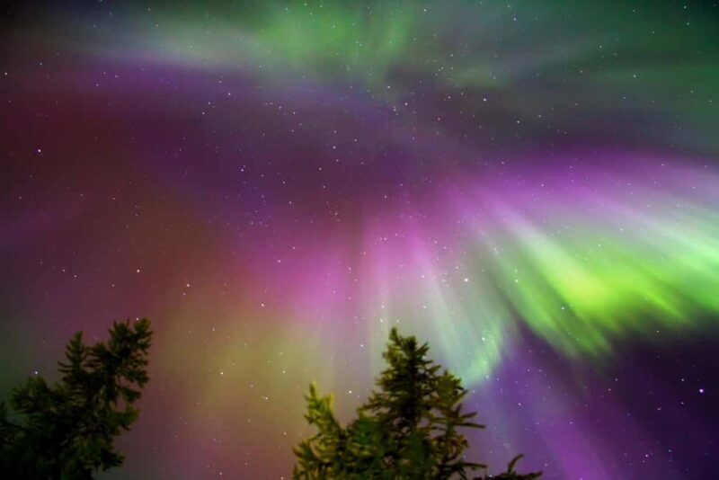 Northern Lights Reindeer Sledge Ride - An In-Depth Look at the Tour