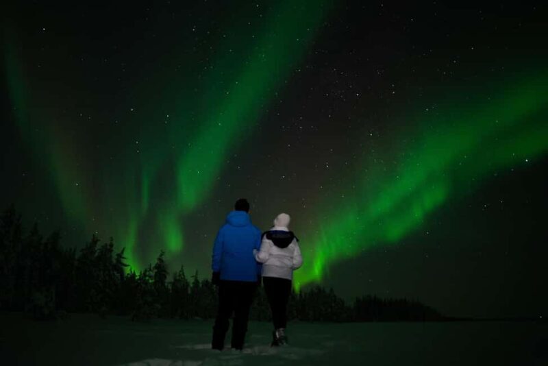 Northern Lights Reindeer Sledge Ride - Who This Tour Is Perfect For
