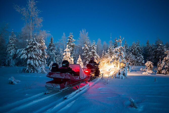 Northern Lights Sledge Ride - An In-Depth Look at the Northern Lights Sledge Ride Experience