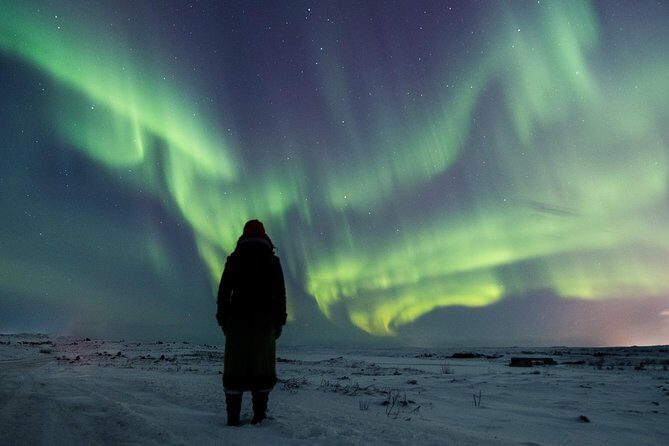 Northern Lights Small Group Tour from Reykjavik with Free Photos - The Experience: Why It Matters