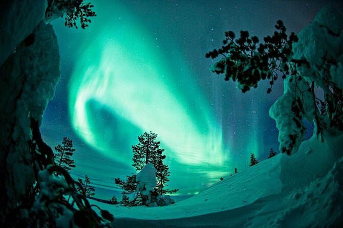 Northern Lights Snowmobile Driving Safari - The Experience and Value