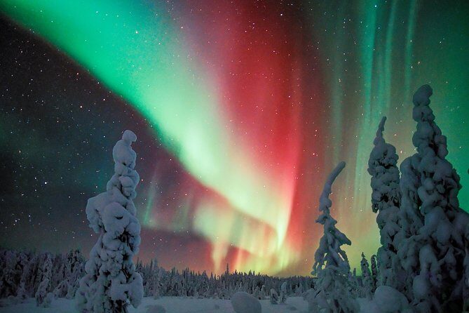 Northern Lights Snowmobile Driving Safari - Final Thoughts: Is It Worth It?