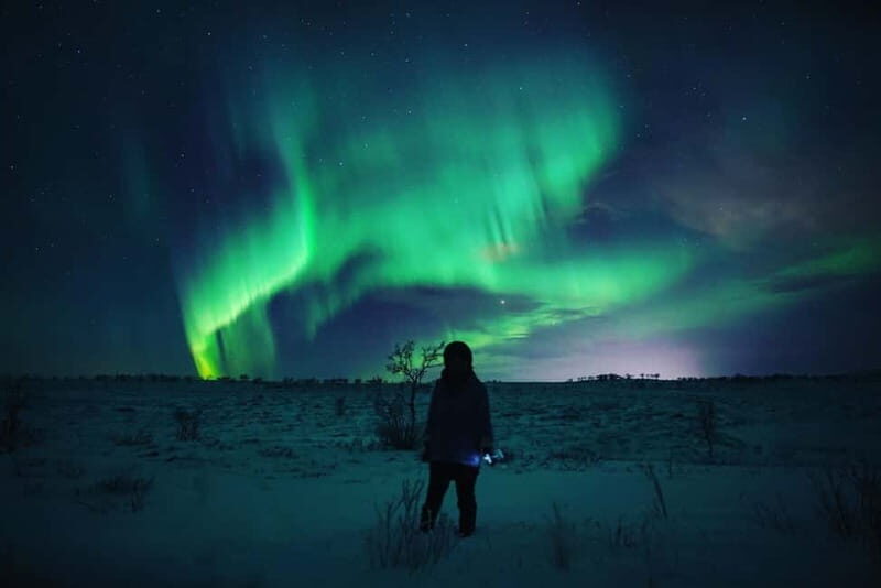 Northern Lights Spotting Tour from the Cruise Harbor - The Itinerary: What You Can Expect