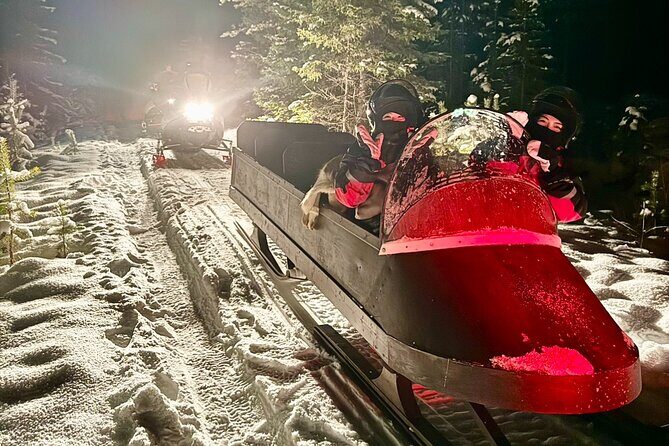 Northern Lights Tour Sleigh Ride - Key Points
