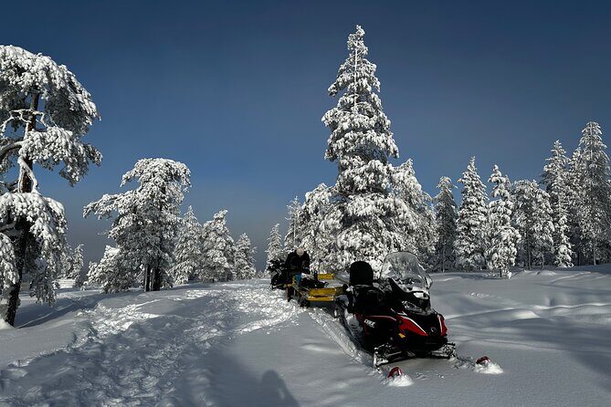 Northern Lights Tour Snowmobile Driving - What to Expect: The Itinerary in Detail