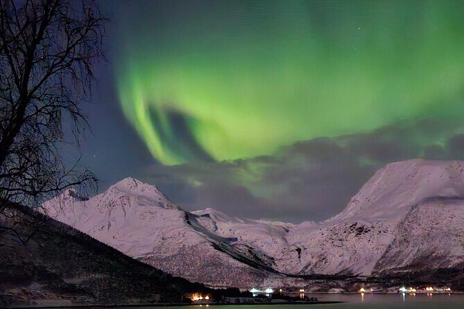 Northern Lights Tour, Tromso, Local Guide, Private Basecamp - The Value of the Tour